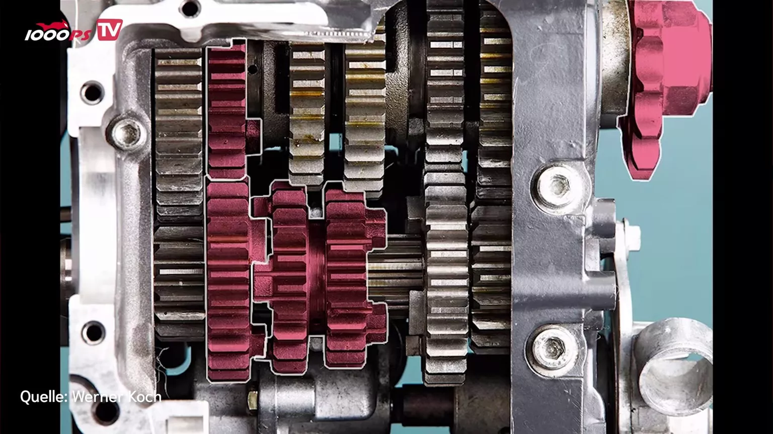DCT, E-Clutch, QS or Manual Transmission? Pros and Cons