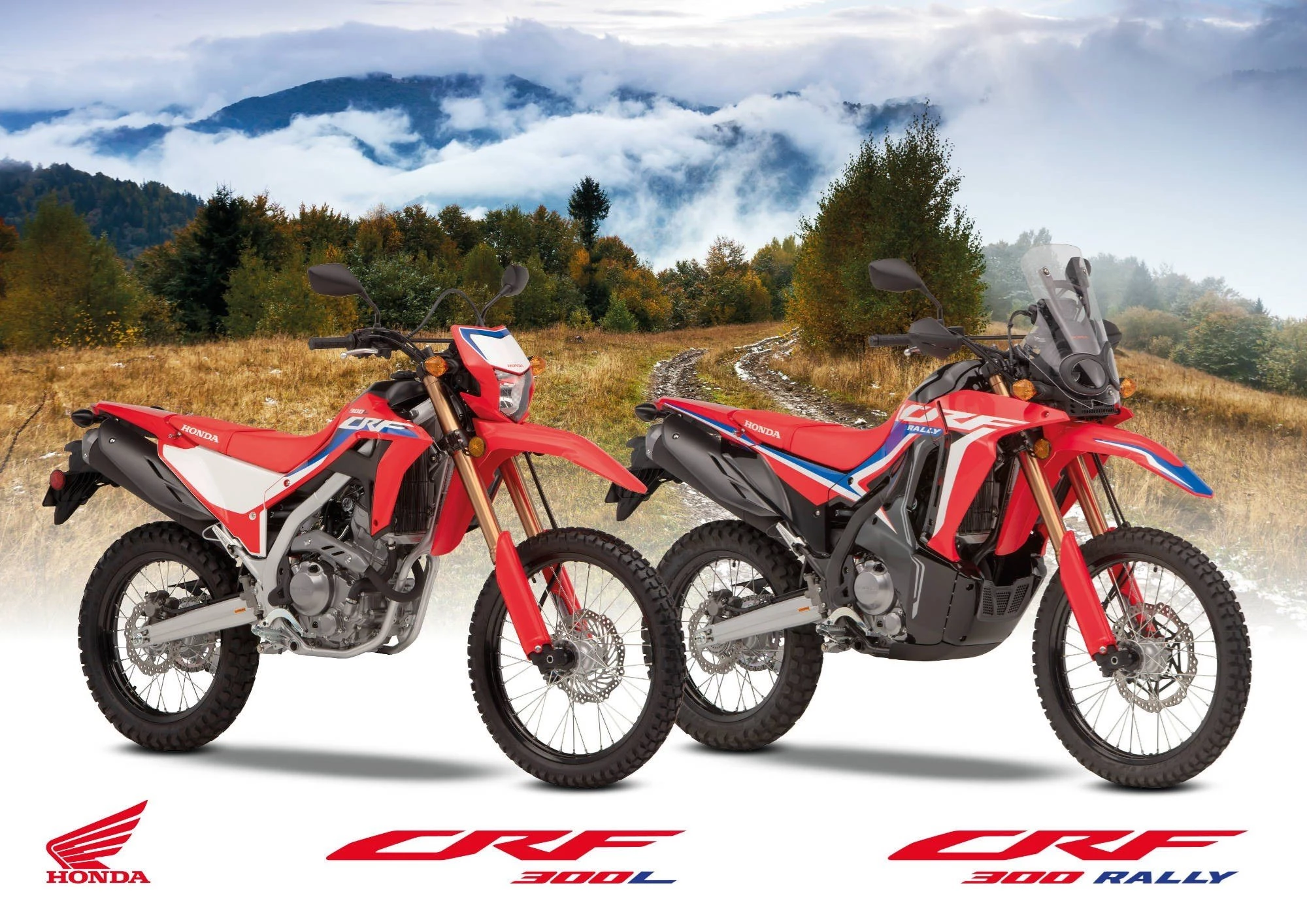 Hyperpro Fahrwerks-Upgrade für Honda CRF 300L & 300 Rally