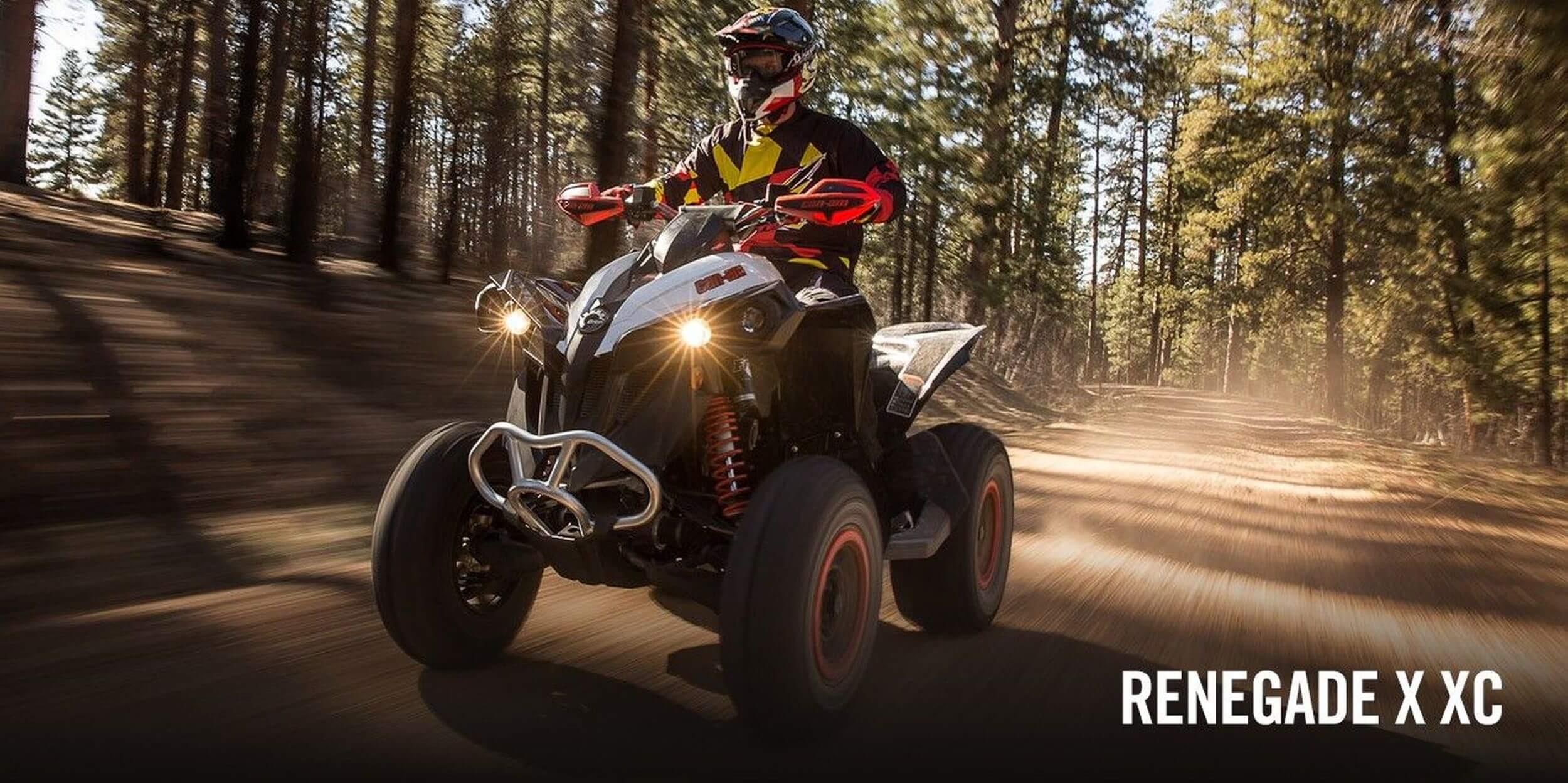 Can-Am Renegade X mr 1000R 2018 - technische Daten, Preise, Bewertungen