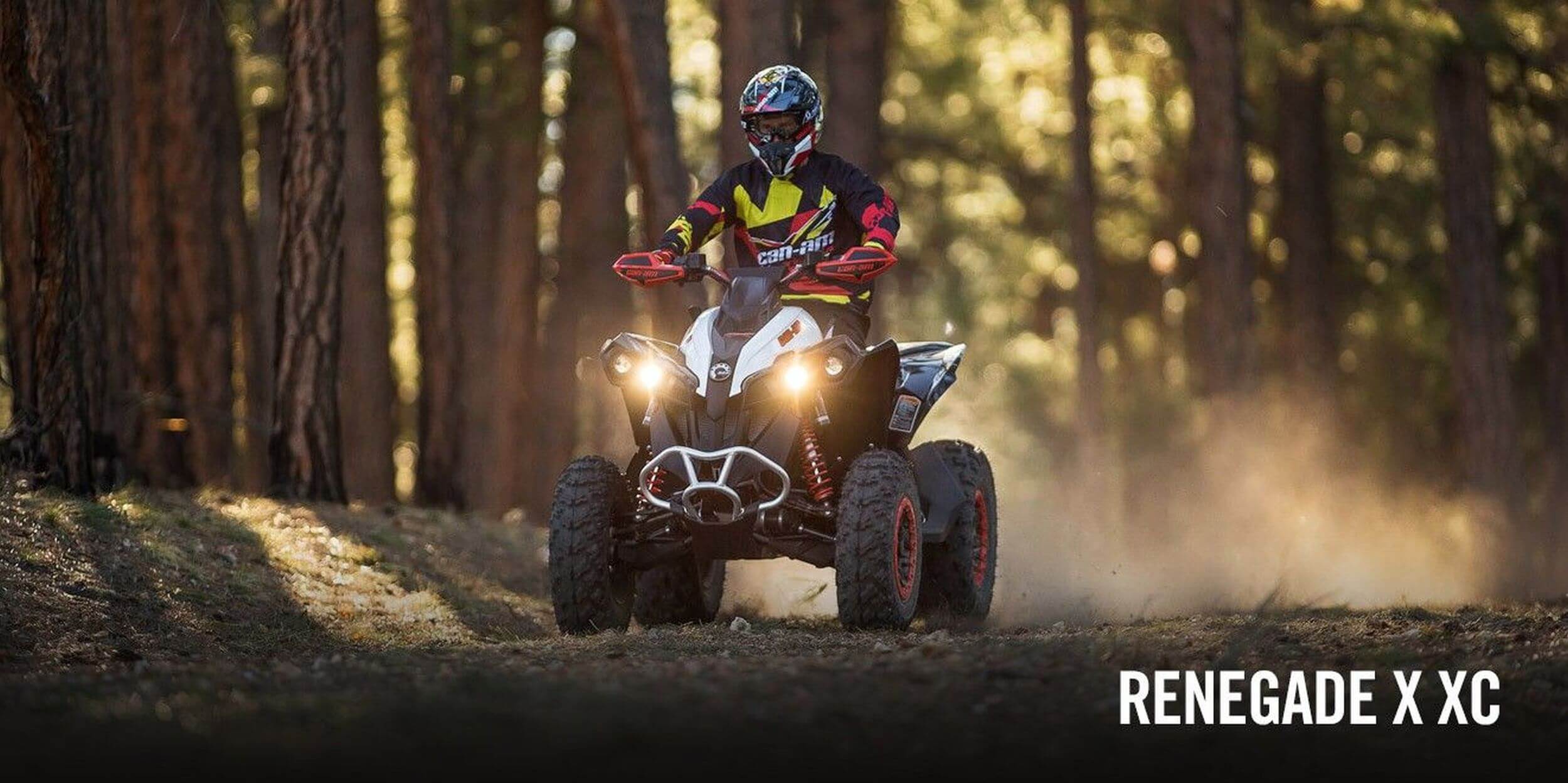 Can-Am Renegade X mr 1000R 2018 - technische Daten, Preise, Bewertungen
