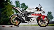 Yamaha R6 GYTR Zweirad Loitz Yamaha R6 GYTR Zweirad Loitz