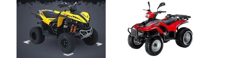 Motorrad Vergleich TGB Target 525 4x2 2011 vs. E-Ton Yukon 150 2009