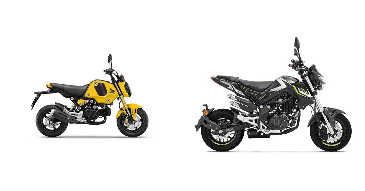 Honda MSX125 Grom 2024 vs Benelli TnT 125 2024