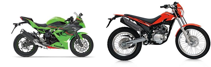 Kawasaki Ninja 125 2024 vs Beta Alp 125 2009