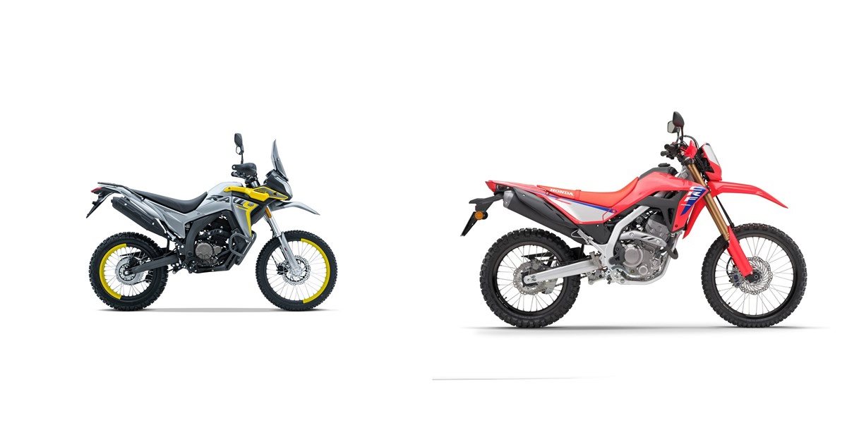 Voge 300 Rally 2024 vs Honda CRF300L 2025